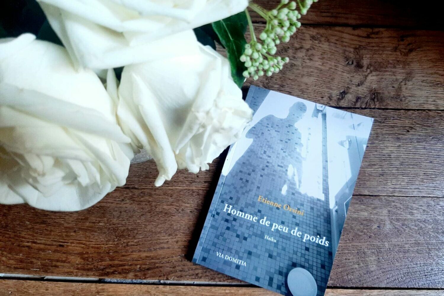 chronique haïku #13 - Pascale Senk